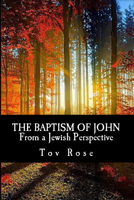 Tov Rosethe baptism of john front cover